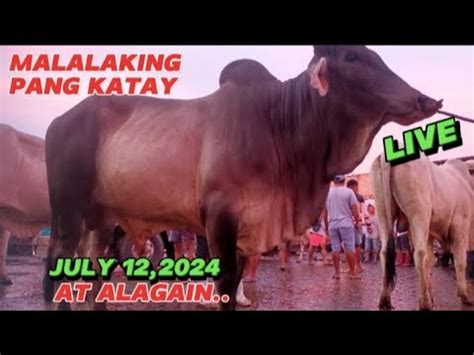 JULY 12 2024 UPDATE PRICE NG MGA BAKANG MAY LAHI KATAYIN AT ALAGAIN