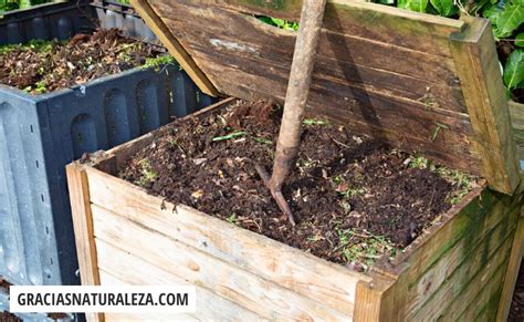 Compost Casero Pasos Y Precauciones Para Hacerlo Bien