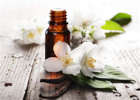 L aromathérapie ou comment se soigner grâce aux huiles essentielles