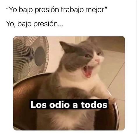 Terminamos No eres tú soy yo Amada Edna debo dejarte Por qué