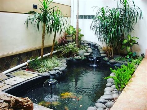 Cara Mengubah Lahan Sempit Kolam Ikan Mini Di Teras Rumah Menjadi Lebih