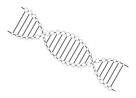 Dna Helix Flat Monochrome Isolated Vector Object Genetic Information