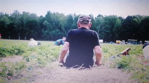 Wiesiek Wszywka Podrywa Kazi Na Truskawkach Shorts Youtube
