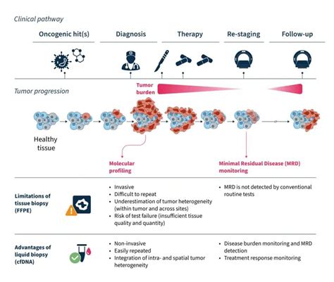 Liquid Biopsy Analysis Screening For Clinically Relevant Information
