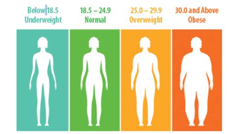 Bmi Classification Chart Measurement Woman Colorful Off