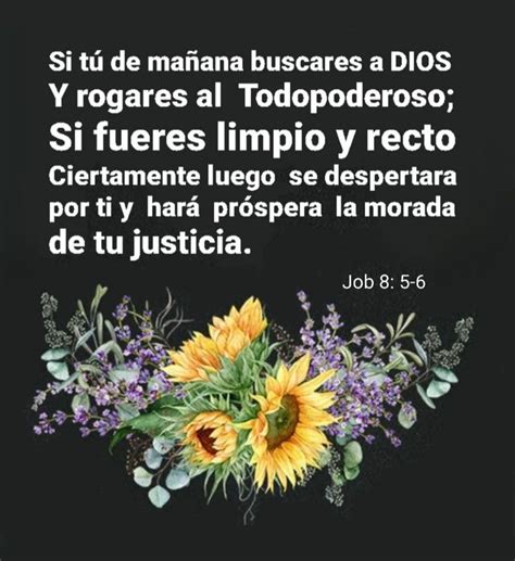Pin de Marina Marin padilla en Guardado rápido en 2024 Frases