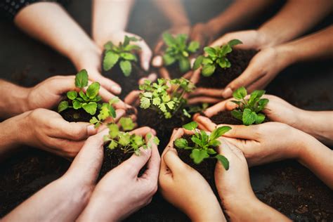 What You Can Do To Reduce Your Carbon Footprint Sustainability