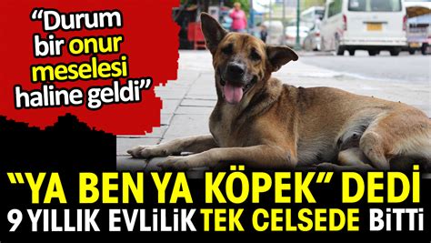 Ya ben ya köpek dedi 9 yıllık evlilik tek celsede bitti