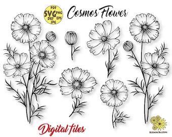 Chrysanthemum Svg November Birth Flower Svg Floral Zodiac Svg
