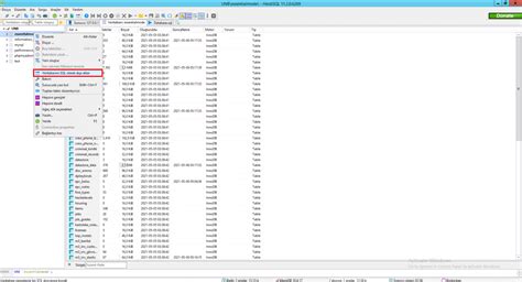 Guide DATABASE SQL Getting The Backup VAG Premium FiveM Scripts