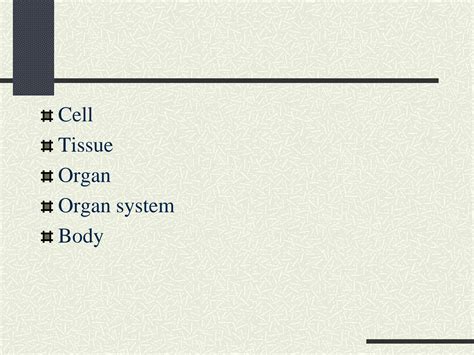 Solution Classification Of Epithelium Complete Notes Pdf Studypool