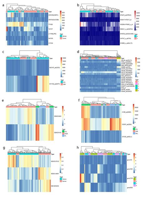 Heat Maps Of The Selected Genes On Eight Different Microarray Datasets
