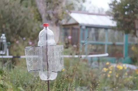 Faire Fuir Les Souris Dans Le Jardin Nos Conseils Pratiques