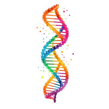 Dna Molecule Spiral Cartoon Chromosome Genetic Science PNG