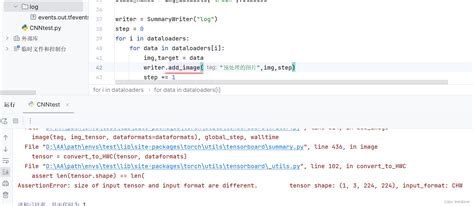 AssertionError size of input tensor and input format are different CSDN博客