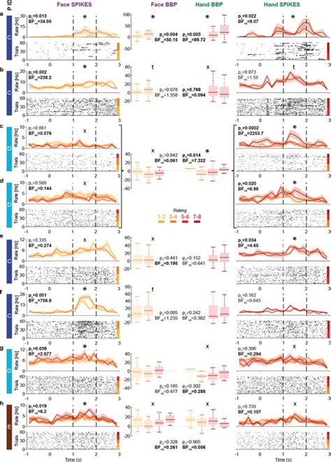 Intracranial Human Recordings Reveal Association Between Neural
