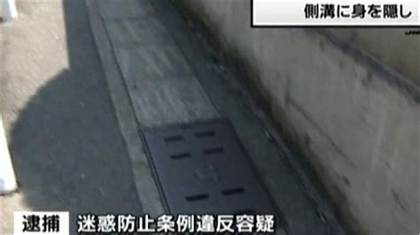 Voyeurs Are Found In The Women S Toilets Of The Japanese Parliament