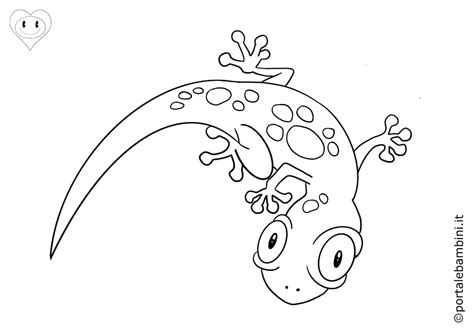Geco Da Colorare Stampa Gratis Portalebambini It
