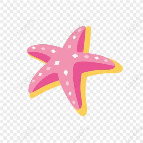 Estrella De Mar PNG Imágenes Gratis Lovepik