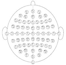 Brain Sciences Free Full Text Applying Multiple Functional