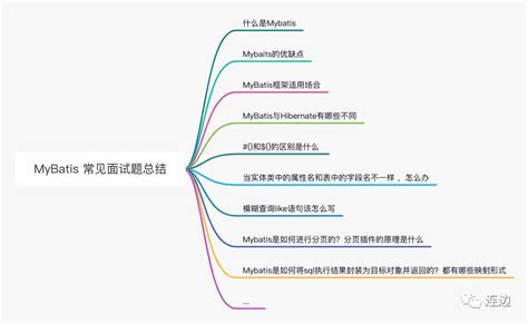 mybatis 常见面试题总结 极客之音