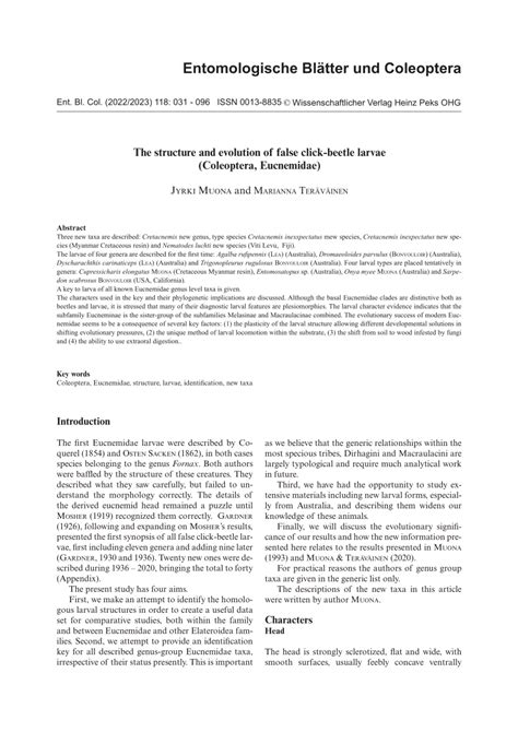 PDF The Structure And Evolution Of False Click Beetle Larvae