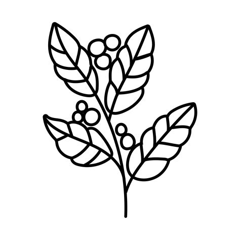 Coffee Plant With Seeds Line Style Icon 2577047 Vector Art At Vecteezy