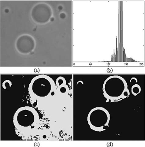 otsu s thresholding a original image b histogram of an image c download scientific