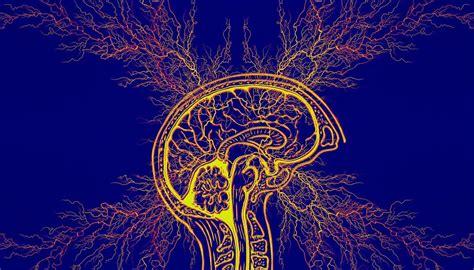 Hoy es el Día Mundial de Concienciación del Síndrome de Tourette