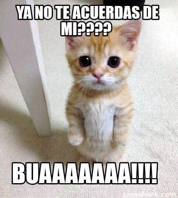 Meme Creator Funny Ya No Te Acuerdas De Mi Buaaaaaaa Meme