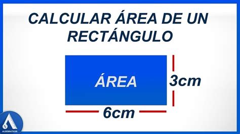 Como calcular el ÁREA de un RECTÁNGULO Super fácil YouTube