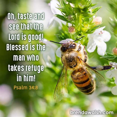 A Blessed Refuge Brenda Walsh Scripture Images