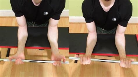 Flexor Digitorum Superficialis Exercises Free Guide