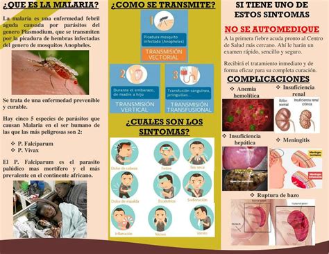 Malaria Alisson Andrea Alvarado Aguilar Udocz