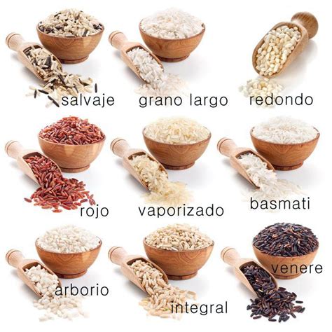 Tipos de arroz cuáles son y cómo usarlos en cada receta Cocina