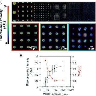Microwell Array Fabrication And Design A Microwell Fabrication