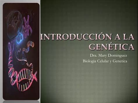 PPT Introducción a la Genética PowerPoint Presentation free download