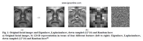 face recognition using the combination of weighted sparse representation based classification
