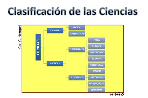 Guía completa de la clasificación de las ciencias y sus ramas