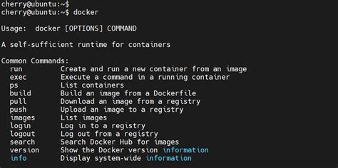 How To Install Docker On Ubuntu Step By Step Guide Cherry Servers