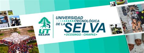 Universidad Tecnol Gica De La Selva