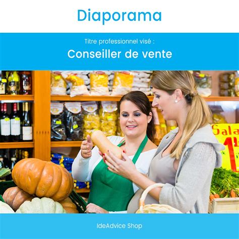 Dossier Professionnel Vendeur Conseil En Magasin
