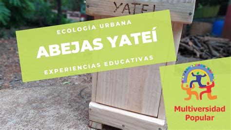 Abejas Yate Youtube