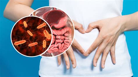 3 Claves Para Mantener La Microbiota Y La Salud Intestinal Gastrolab