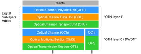 what is otn optical transport networking ciena