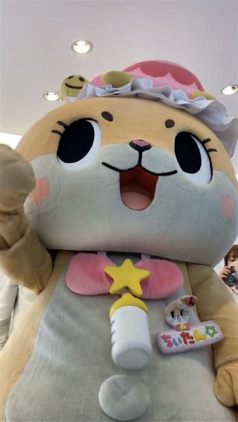 O Naohiko Nao
