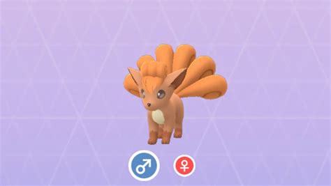 Shiny Vulpix Pokemon GO Vulpix Spotlight Hour