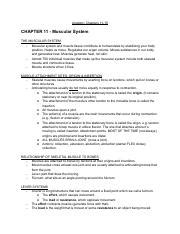 Anatomy Chapters 11 15 Pdf Anatomy Chapters 11 15 CHAPTER 11