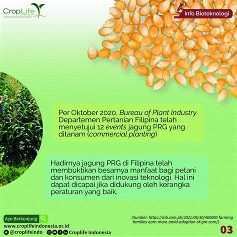 Croplife Mendukung Inovasi Penelitian Dan Pengembangan Di Bidang