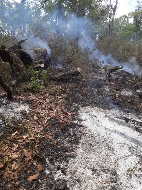 Nuestro Diario On Twitter Bajaverapaz Socorristas Controlaron Un